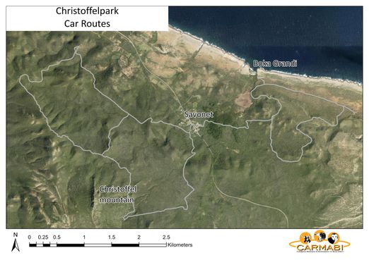 Hiking Trails | Christoffelpark Curacao